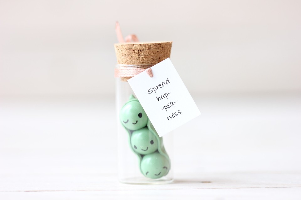 Birthday Funny Gift Party Favors Personalized Family Gift Three Peas in ...