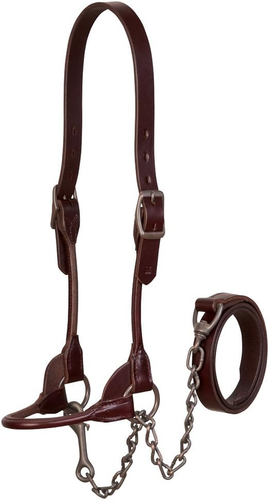 Weaver Leather Bombshell Show Halter | eBay Australia