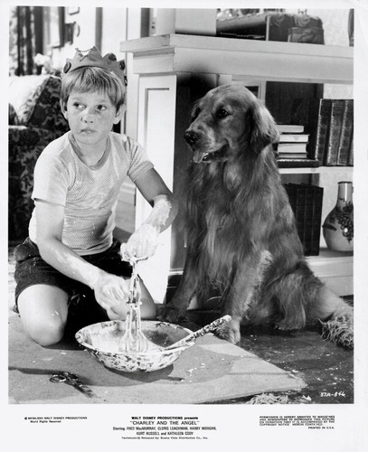 1972 - Vintage Photo - SCOTT KOLDEN - " CHARLEY AND THE ANGEL" | eBay