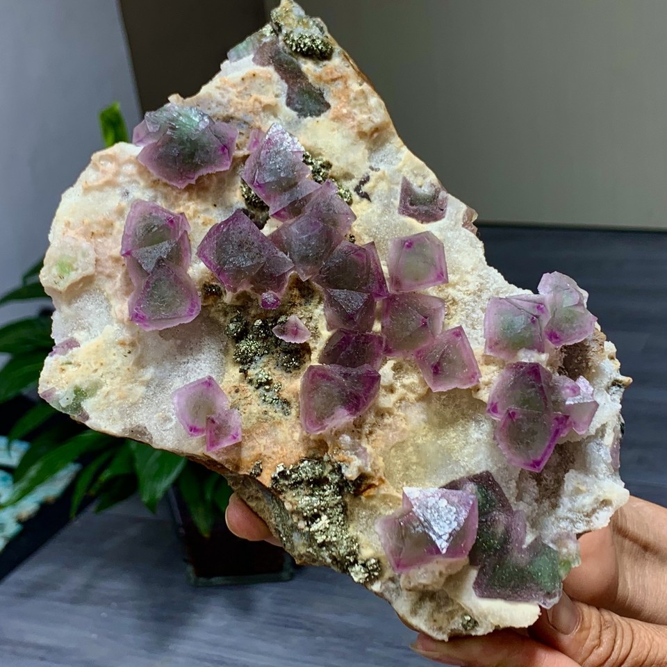 2.26LB Natural purple green octahedral fluorite mineral crystal ...