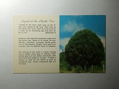 Old Postcard - Legend Of The Myrtle Tree | eBay