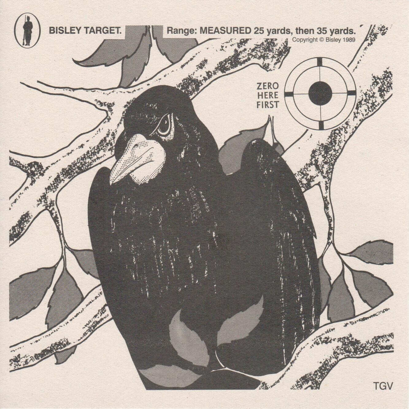 Bisley Paper Air Gun Rifle Targets *14cmx14cm**17cmx17cm* Packs of 5/25 ...