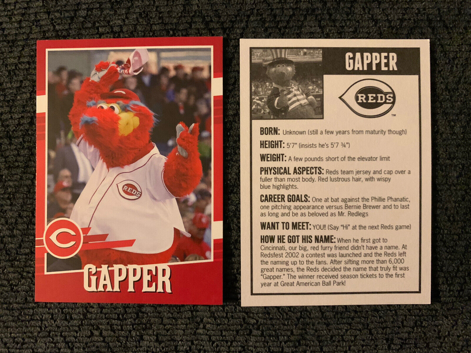 2021 Baseball Trading Card Cincinnati Reds Issued Gapper Mascot Rare Ebay