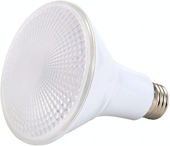 Lit-Path Daylight 750 Lumens/5000K 6-Pack Dimmable Light Bulbs FREE ...