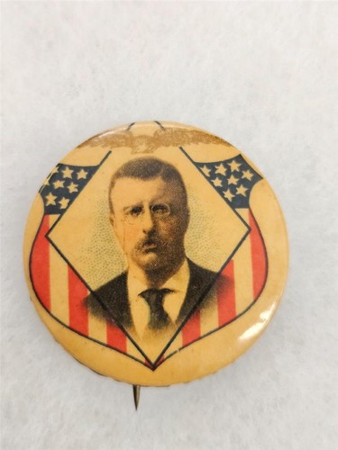 TEDDY ROOSEVELT PRESIDENTIAL CAMPAIGN PIN PINBACK BUTTON BADGE ...