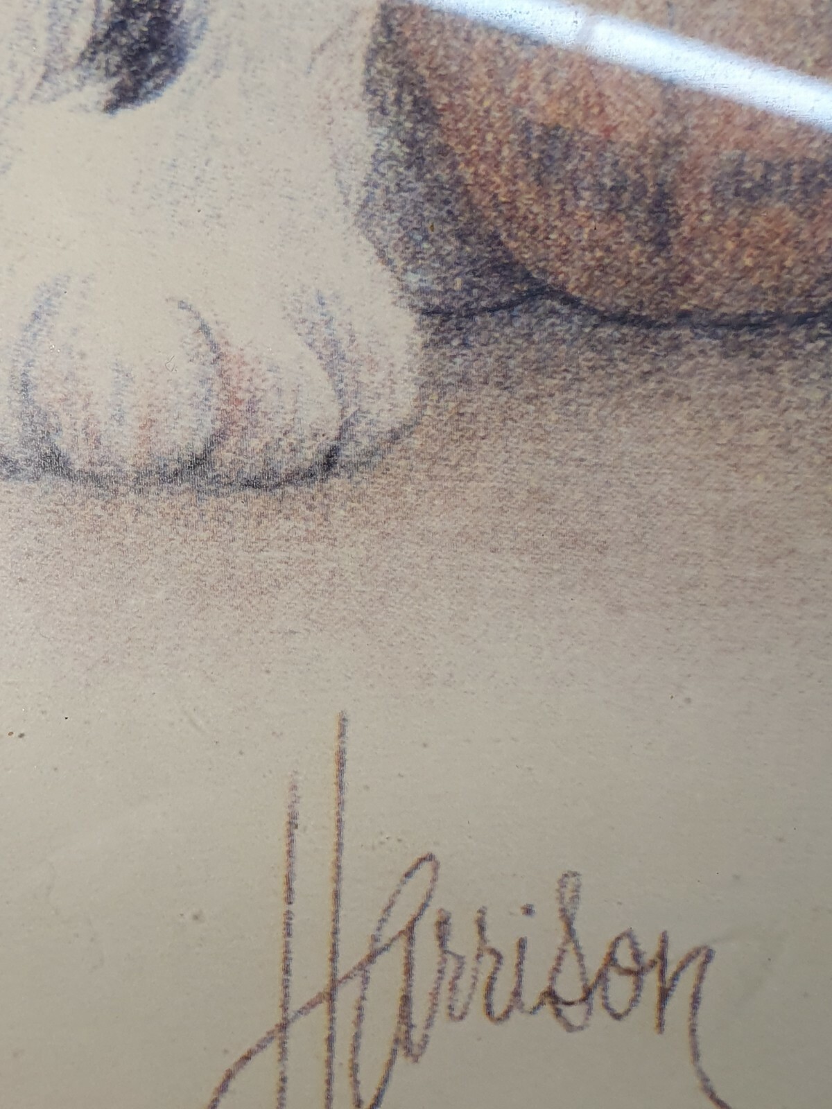 Vintage Bob Harrison Framed Print; Amazing Puppies; Frame size 34 x 44 ...