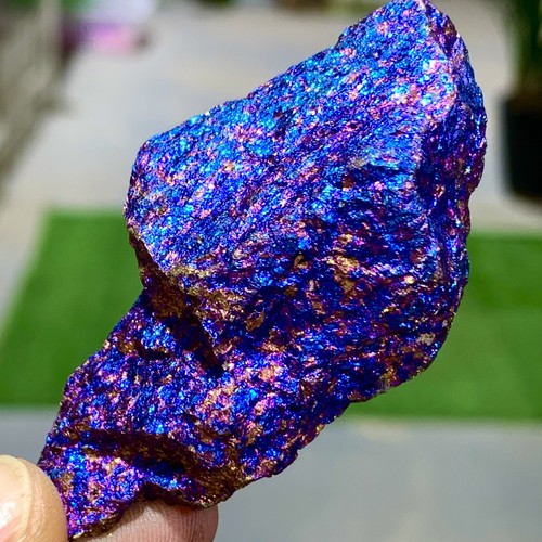 44G Rare Natural Beautiful Colorful Bornite Raw Mineral Specimen ...