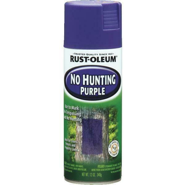 Rust-Oleum 270970 No Hunting Spray Paint - Purple, 12 Fl Oz (Pack of 1 ...