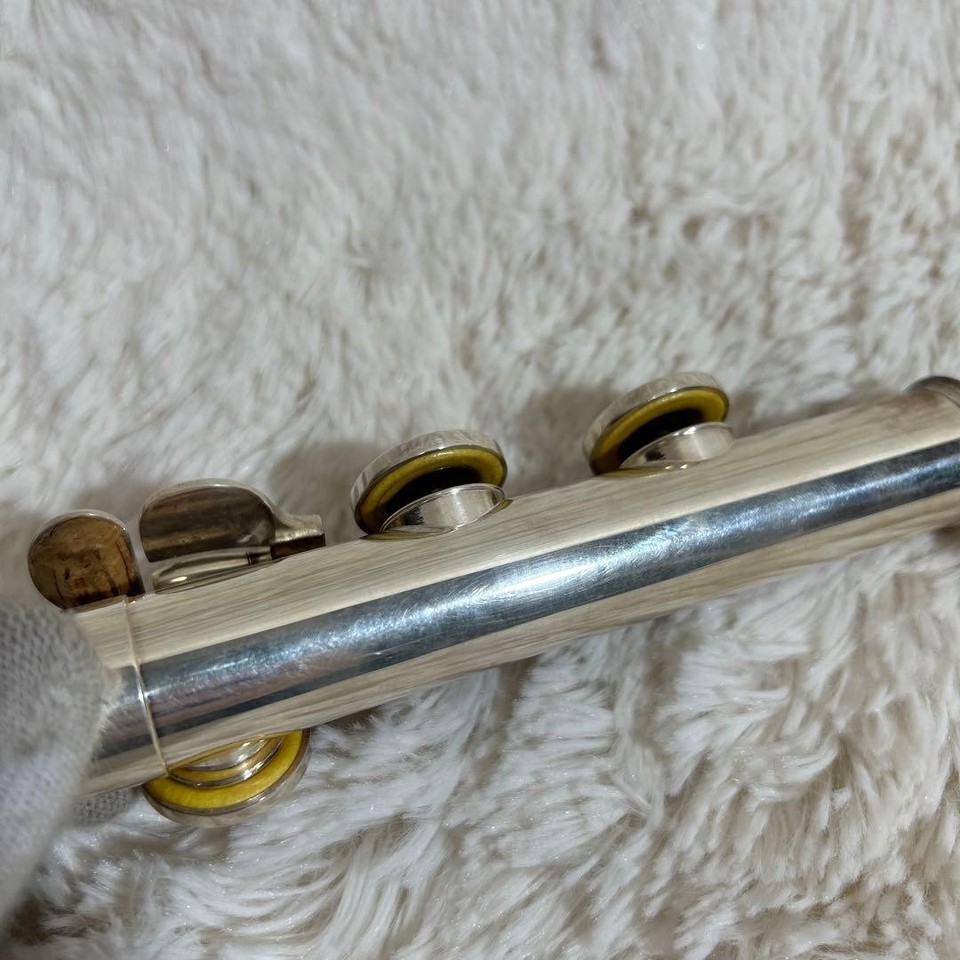 Maxtone Flute with Case, Used, No Sound Test, Slight Damage, Free ...
