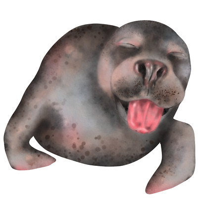 Autoaufkleber Sticker Robbe Aufkleber | eBay