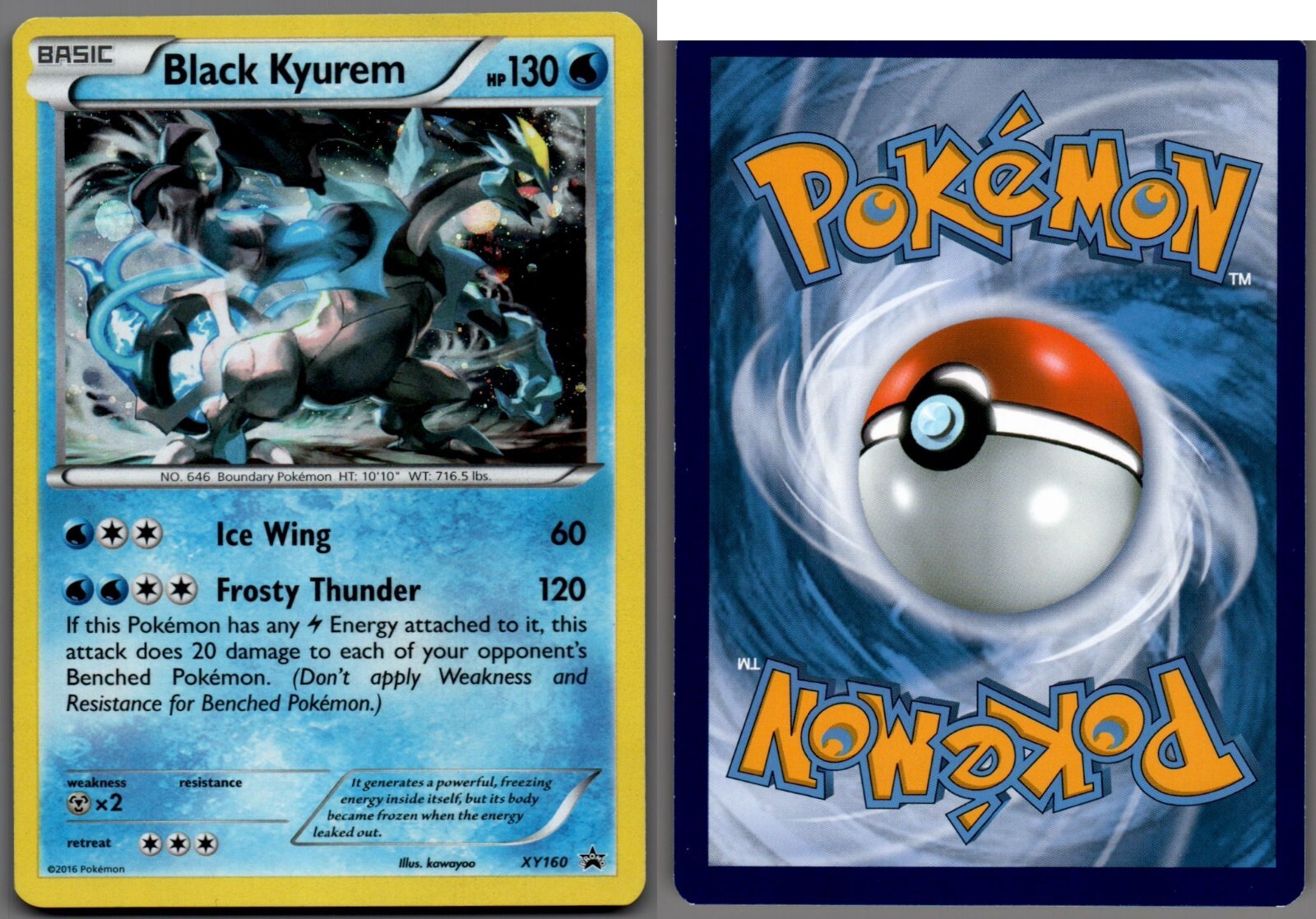 2016 Pokemon, XY Promos, #XY160 Black Kyurem, Holo Black Star Promo (b ...