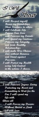 I Will Soar Pro-Life Bookmark (Pack of 100) | eBay