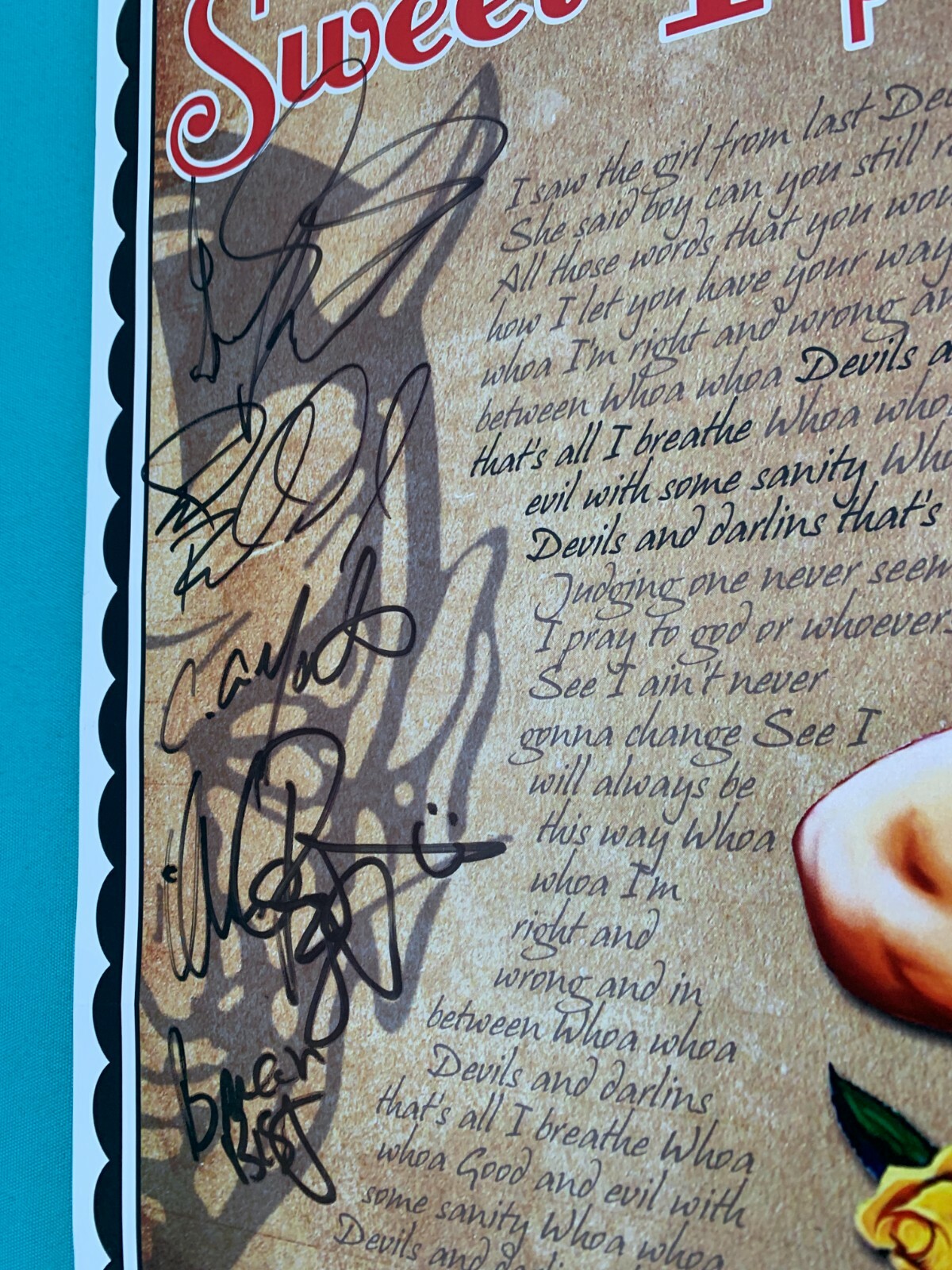 ED ROLAND THE SWEET TEA PROJECT SIGNED DEVILS N DARLINS POSTER ...