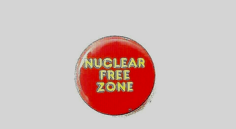 NUCLEAR FREE ZONE 1982 Anti Nuclear Protest Button - Nuclear Free Zone ...