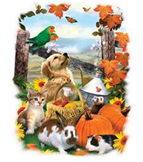 Fall Foliage And Animals New England Fall Foliage 2024: Maps Show When