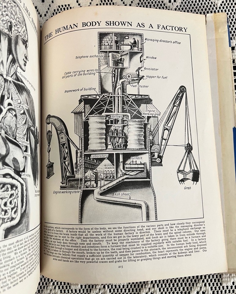 Wonders of Science Simplified 1950s Atomic Age Mid Century Illustrated ...