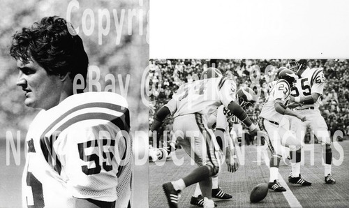 LONNIE WARWICK,SCOTT STUDWELL,FRED MCNEILL MINNESOTA VIKINGS DEFENSE ...