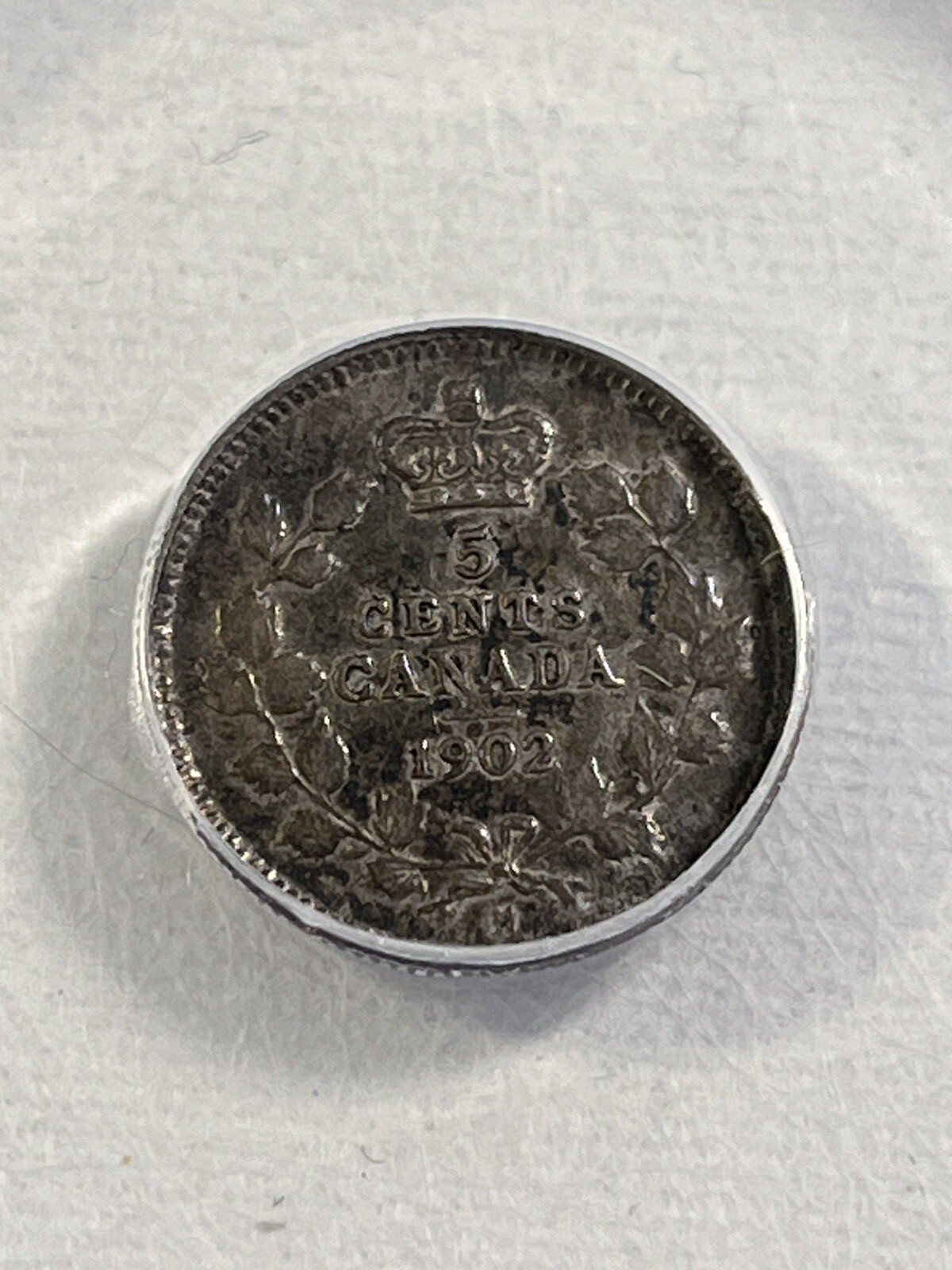 1902-H Canada 5 Cents Small Silver Coin Graded VF 25 by ANACS Small H ...