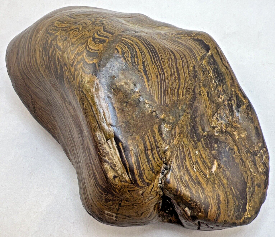 * WYOMING Banded Iron Formation Tiger Ironstone GENESIS SEER STONE ...