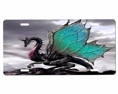 Dragon license plate | eBay