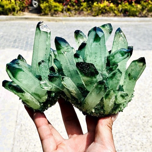 3.41LB Rare Mexican green crystal cluster quartz crystal mineral ...