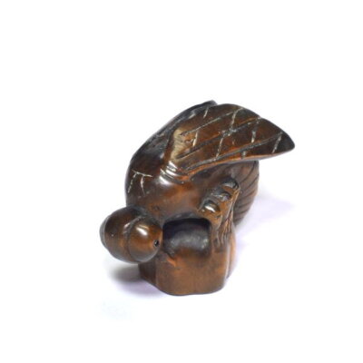 Netsuke - Netsuke Insect