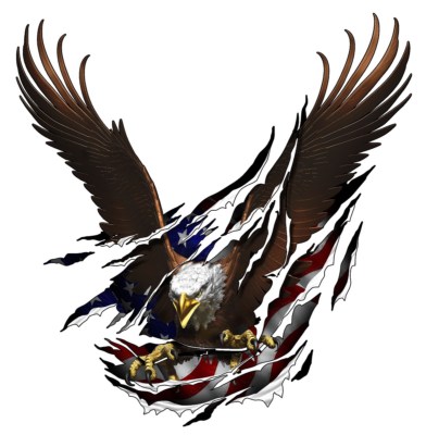 American flag eagle rip tear decal Camper RV motor home mural hood ...