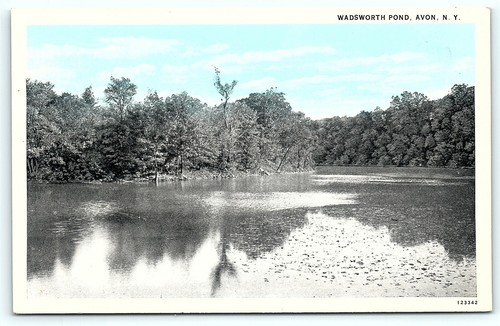Postcard NY Avon Wadsworth Pond Vintage R35 | eBay