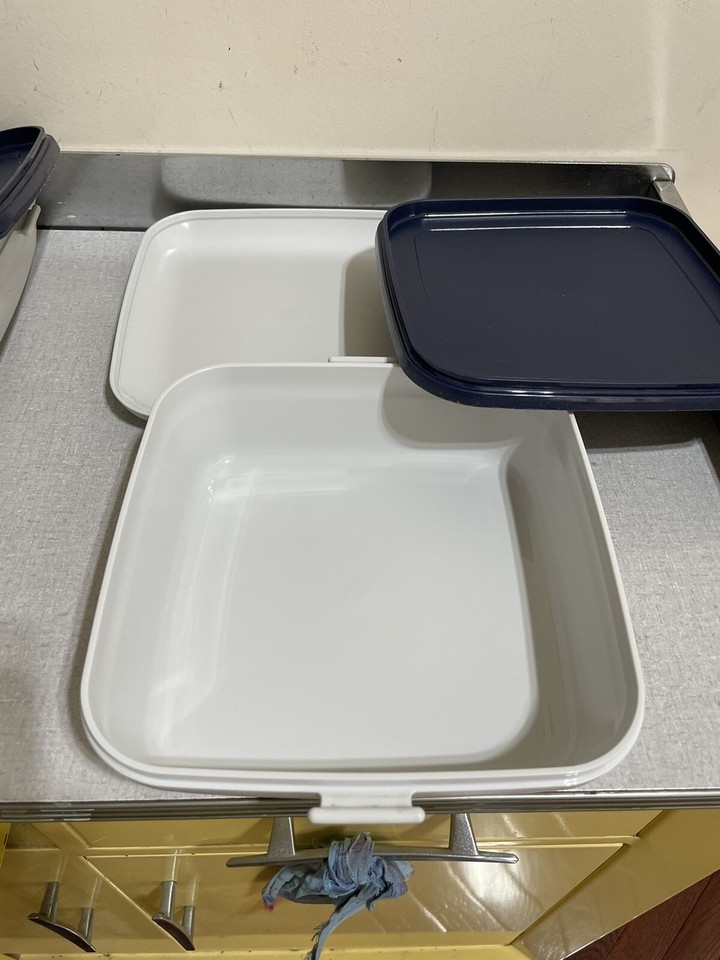 VTG Tupperware party carrier, come with 4 plates Excellent Condition | eBay