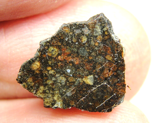 NWA 13088 Official Meteorite - L3.1-S2 - G718-0212 - 1.24g COA - 16th ...