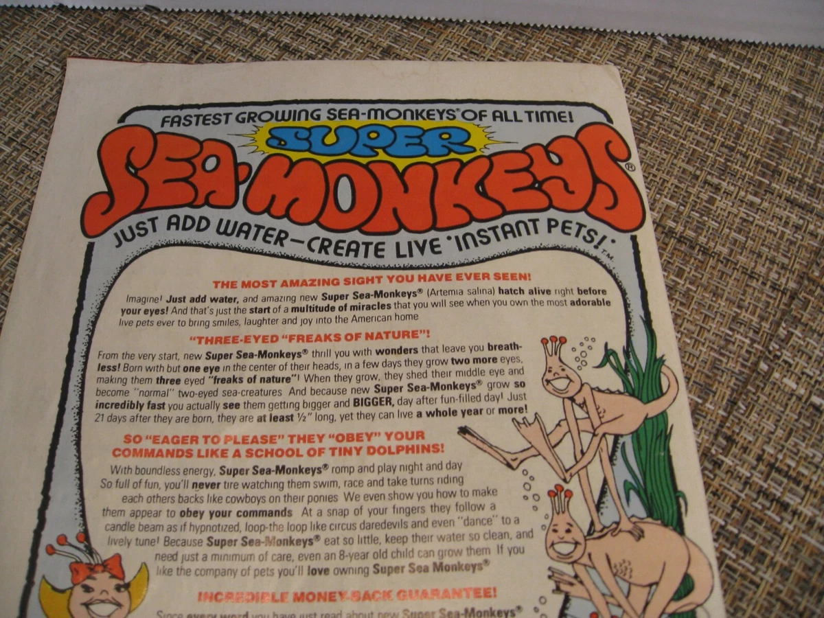 Seamonkey Comic Book Ad