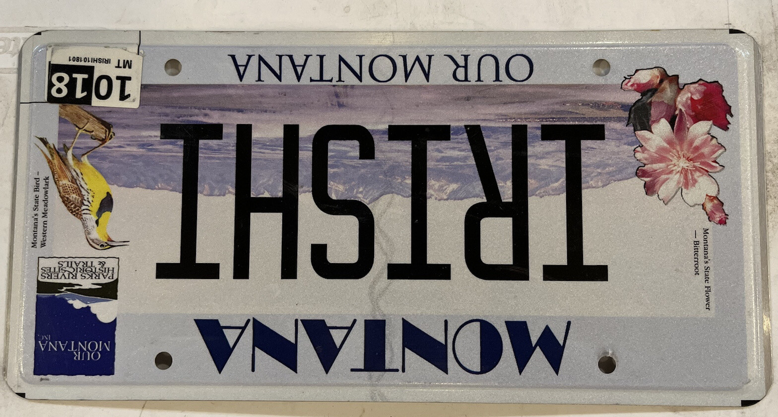 Vanity IRISH IMMIGRANT license plate Independent IRA Ian Ida Isabel Ivy ...