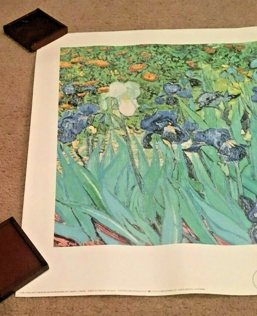 Van Gogh Irises Getty