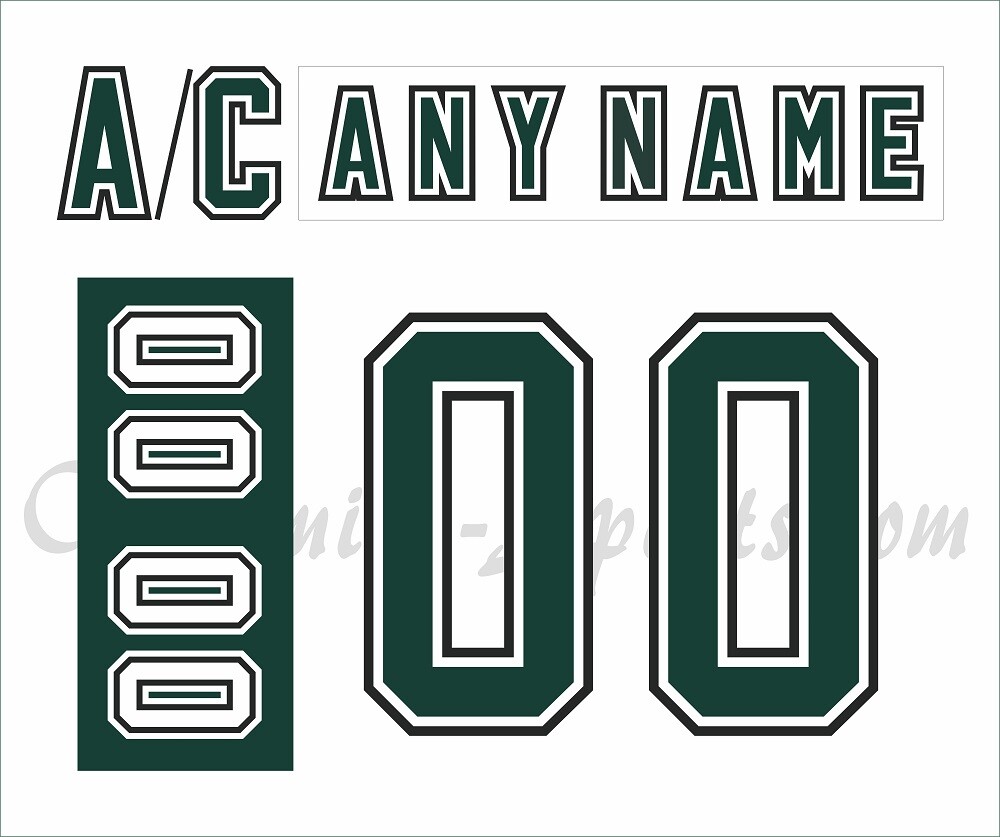 NCAA Michigan State Spartans Customized Number Kit for 2006-07 3rd ...