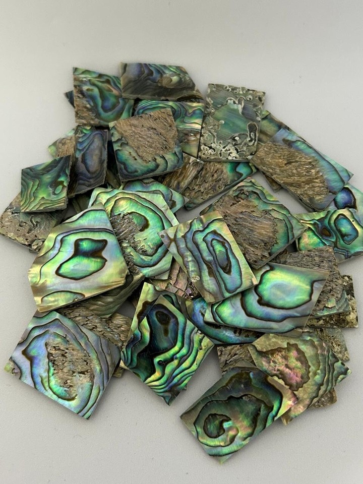 Green Paua Abalone Shell Blanks (1.55mm) for Guitar Inlay - Various ...