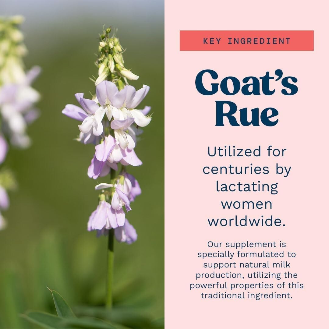 New Goats Rue Lactation Aid Support Supplement for Breastfeeding ...