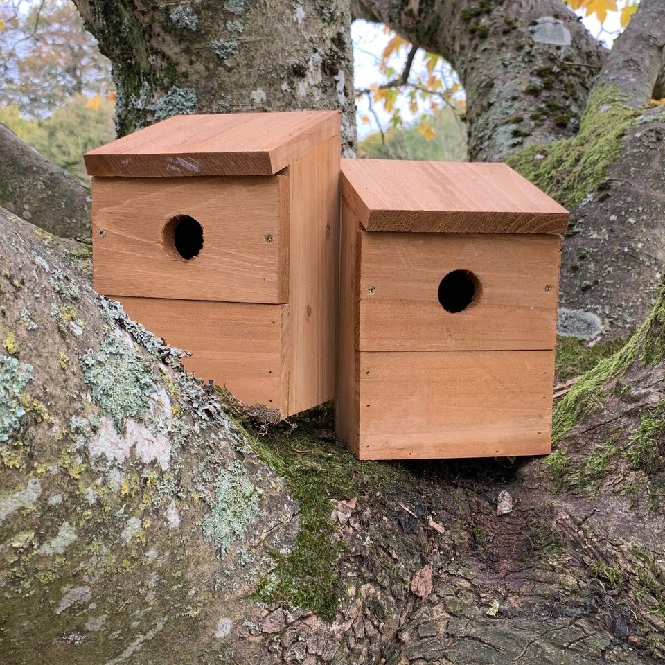 Bird Nest Box Wood Wooden Nesting Boxes Wild Birdhouse Straw Robin ...