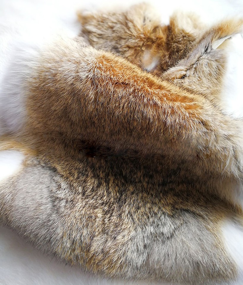 50 Pieces Natural Tanned Real Rabbit Pelts Fur Leather DIY Garment ...