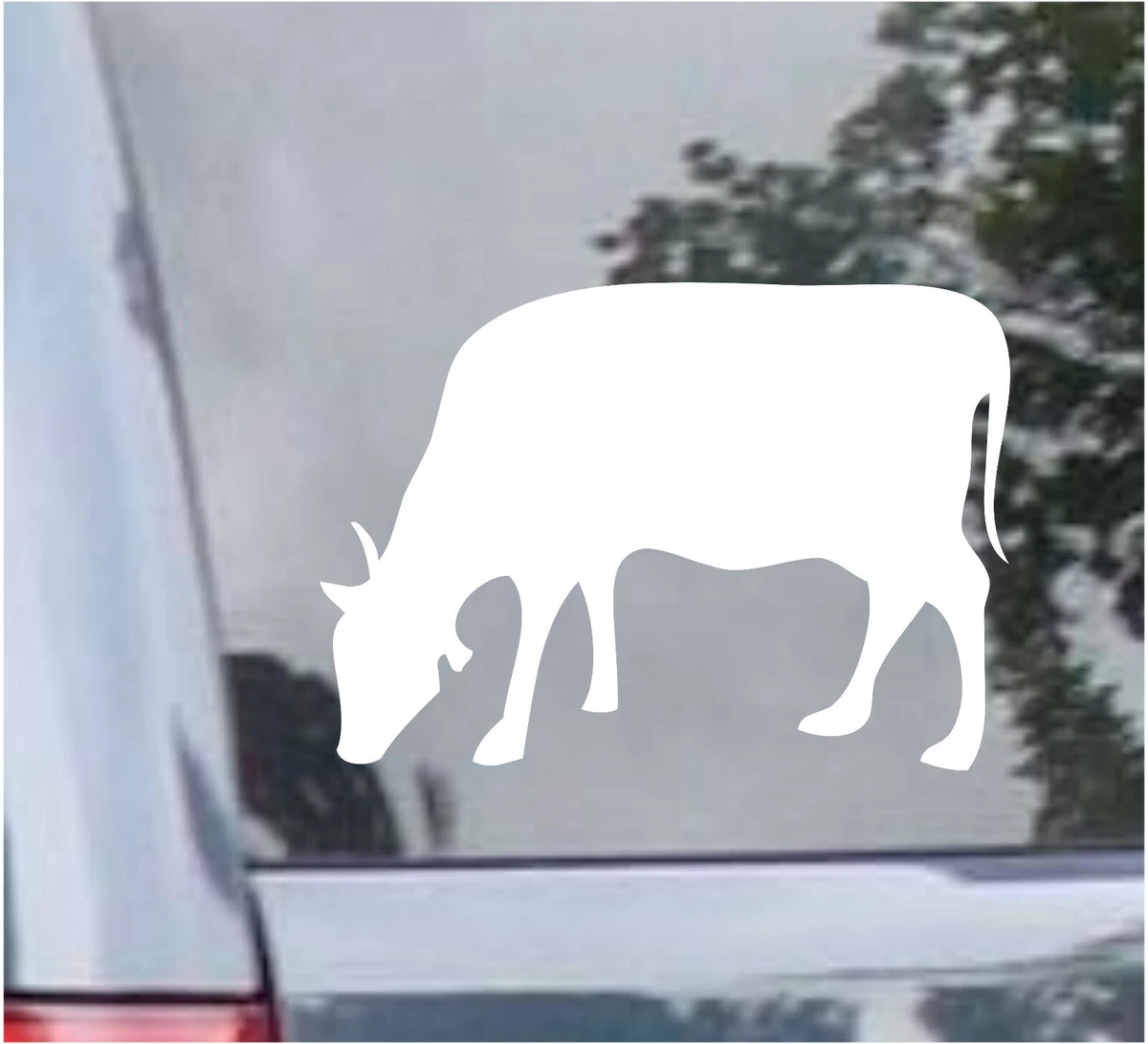 Show Steer Decal