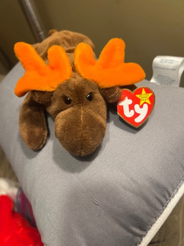 Ty Beanie Baby - Chocolate the Moose. Rare, Retired, Vintage, New and ...