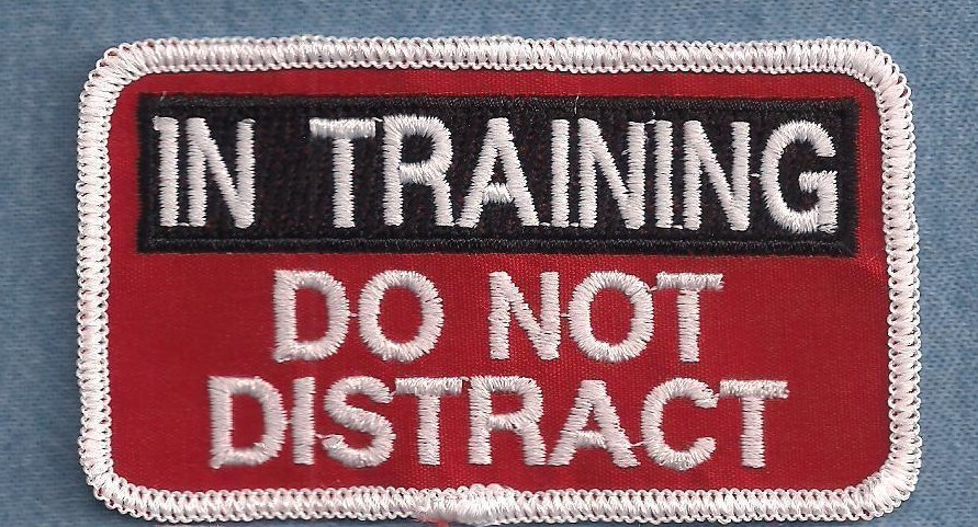 DO NOT DISTRACT IN TRAINING or WORKING - service dog vest patch - | eBay