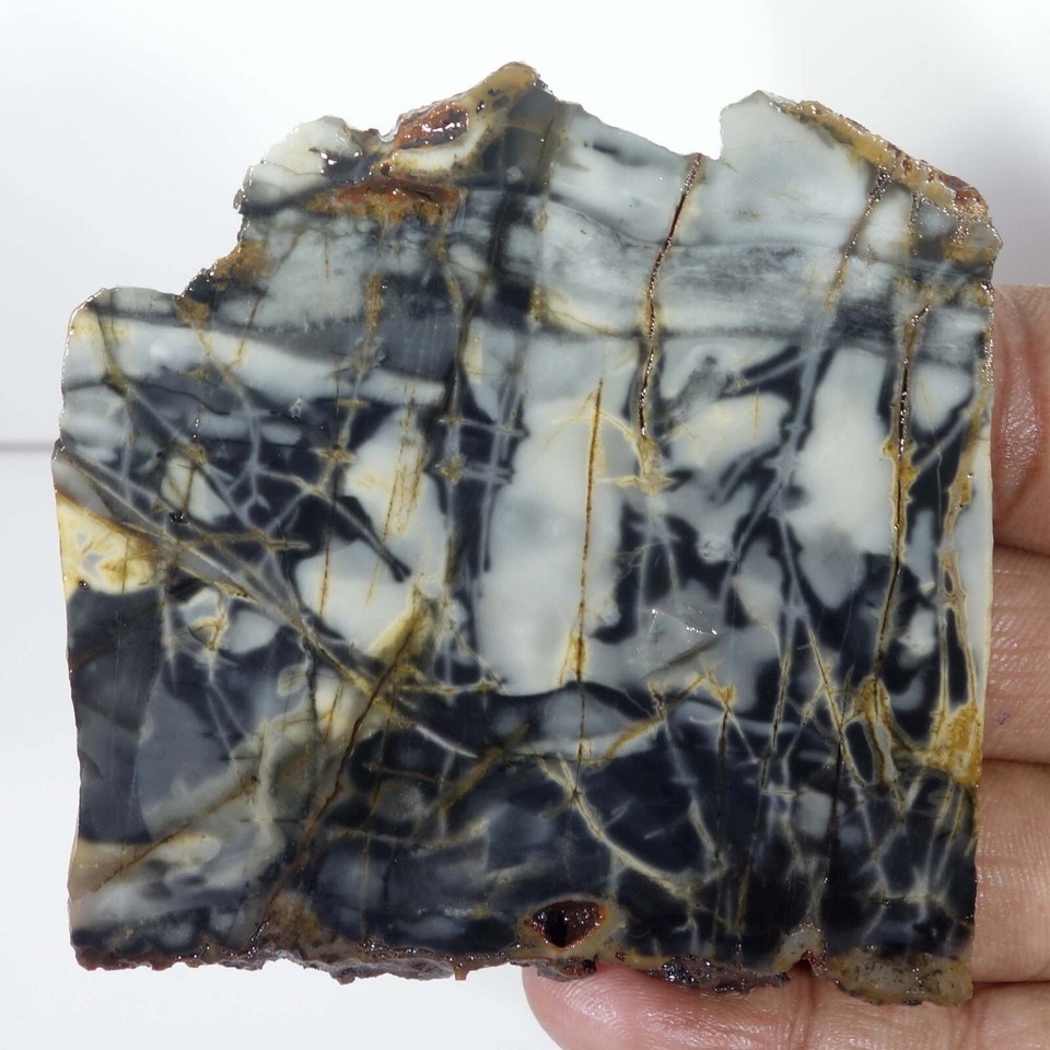 272.40 CT UTAH PICASSO MARBLE specimens/rock/jasper/agate/mineral/cab ...