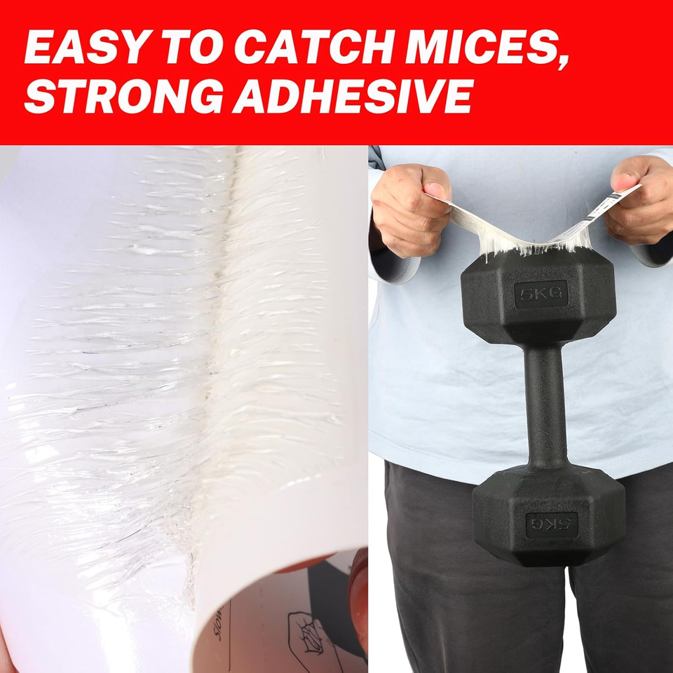 Mouses Traps Indoor for Home Sticky Insect Glue Adhesive for Catching ...