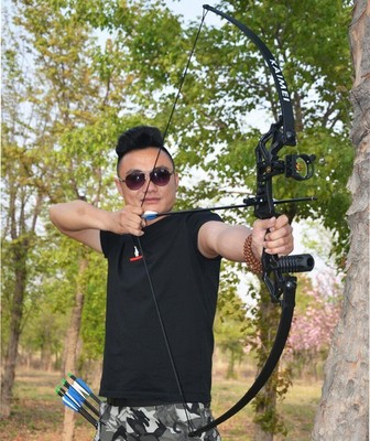 professional recurve bow 50 lbs powerful hunting archery arrow | eBay