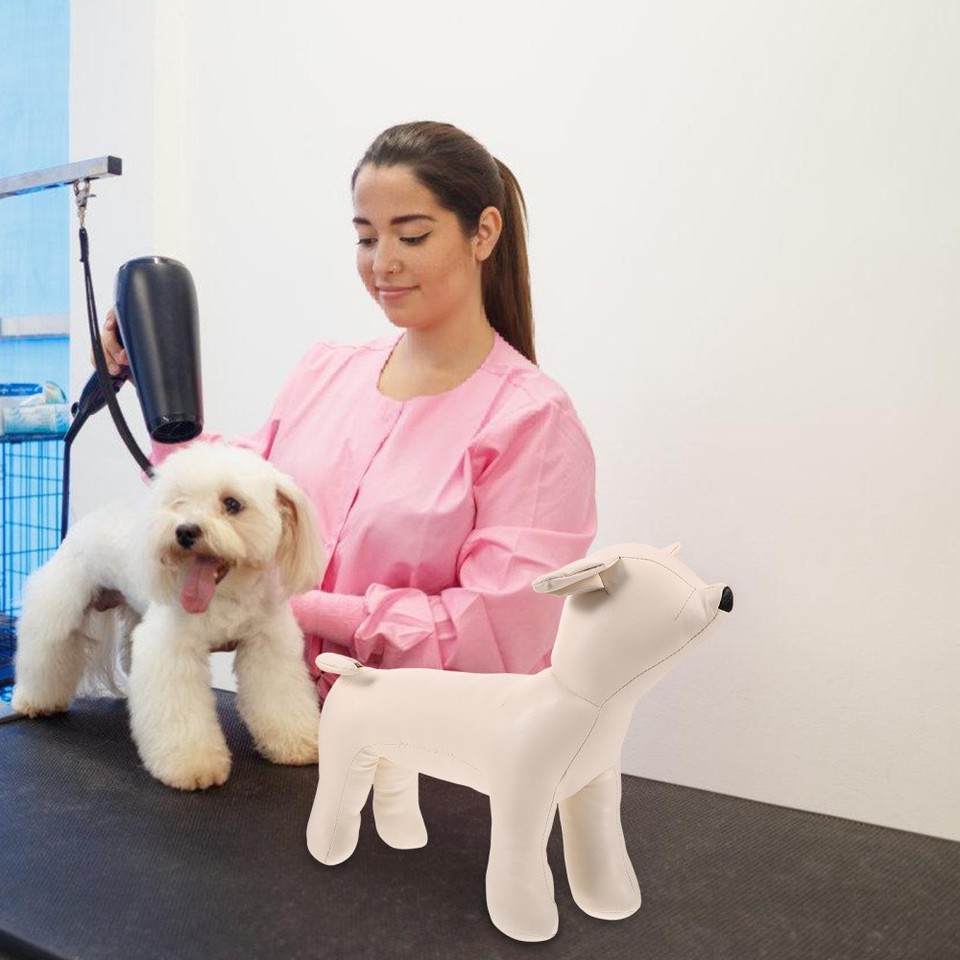 Dog Mannequin Model Dog Mannequin Statue Dog Displaying Models Pet ...