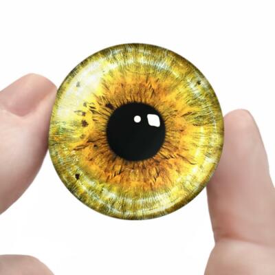 Yellow Monster Eyes Realistic Glass Eyeballs Doll Craft Set 35mm | eBay