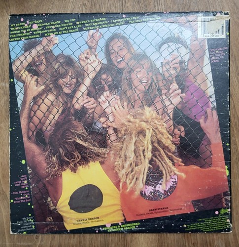 SURF PUNKS - My Beach 1980 EPIC RECORDS LP NJE36500 VINYL EX | eBay