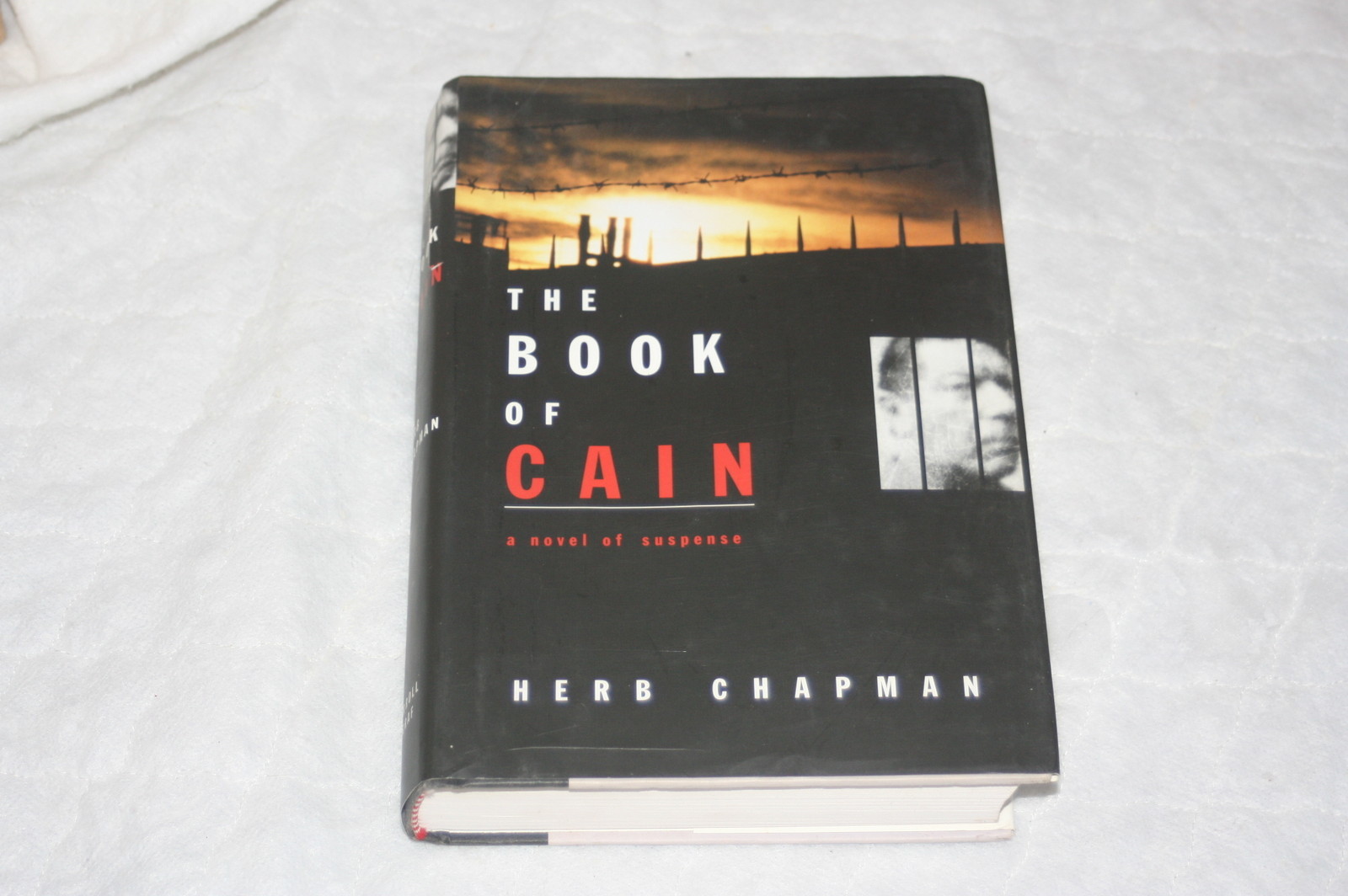 The Book of Cain : A Novel of Suspense by Herbert Chapman (2001 ...