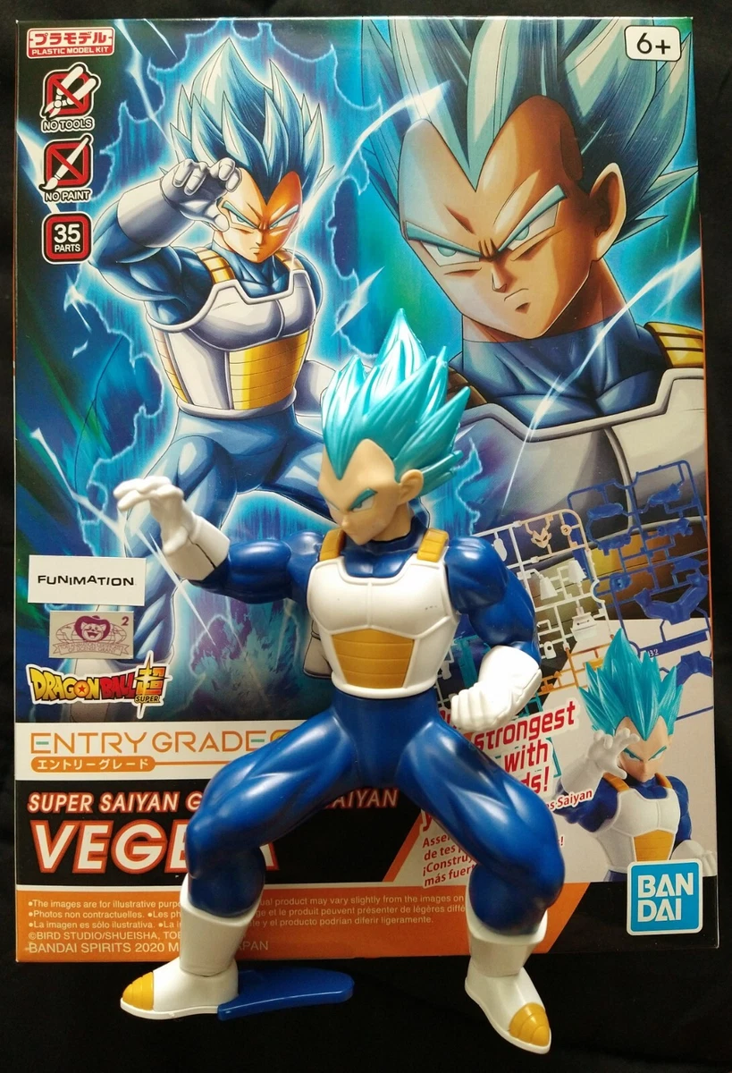 Dragon Ball Z Super Saiyan God Form