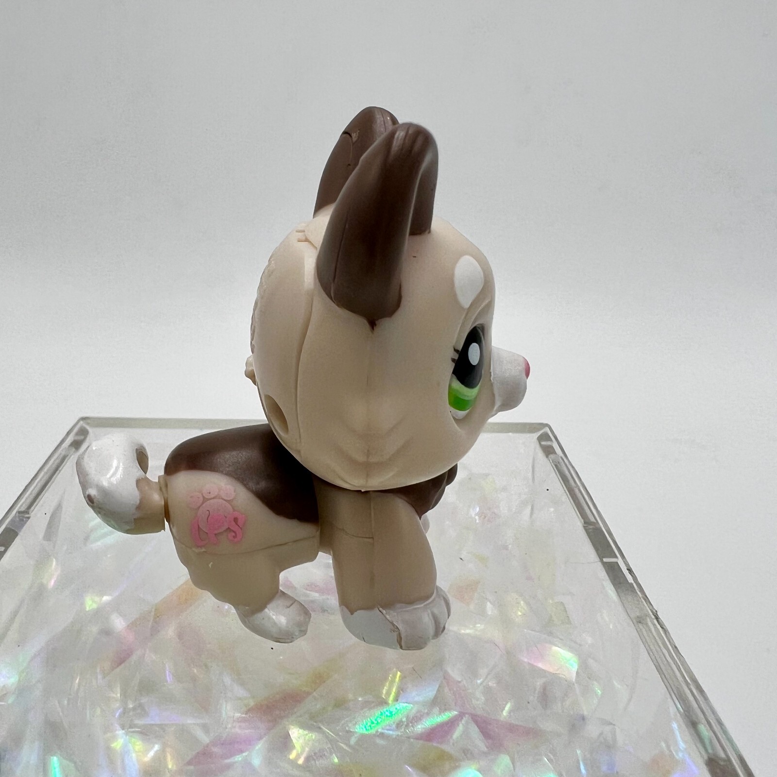 WALKABLE CORGI DOG #2311 - Authentic Littlest Pet Shop - Hasbro LPS | eBay